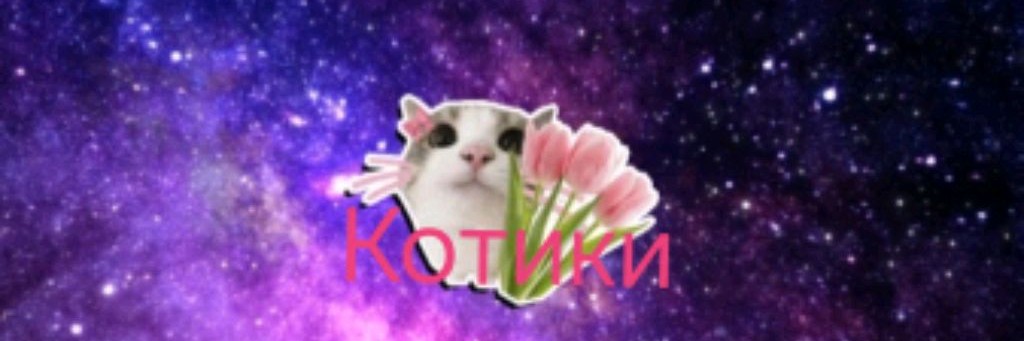 😻Банда котиков😻 ✅