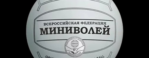 Миниволей Яя
