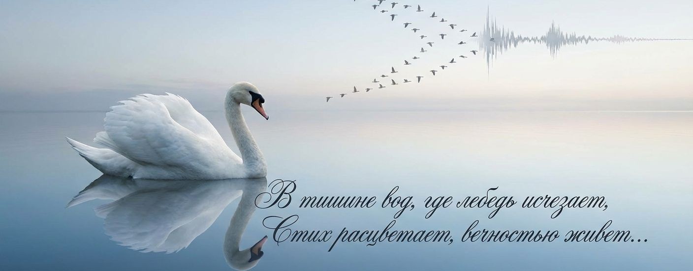 "Стих & Я"