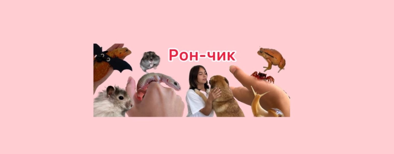 Рон-Чик