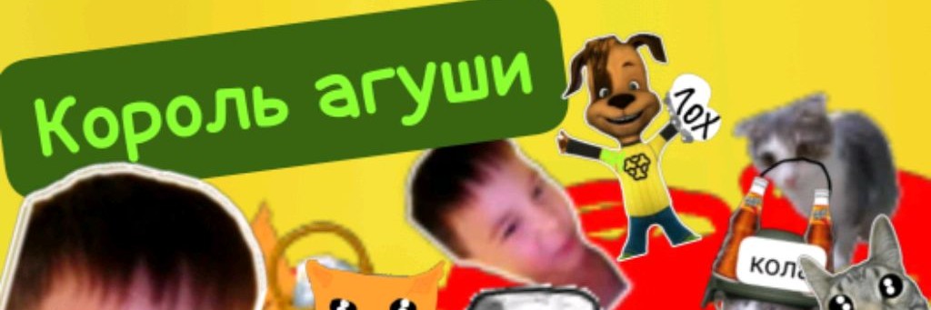 Король Агуши★✓