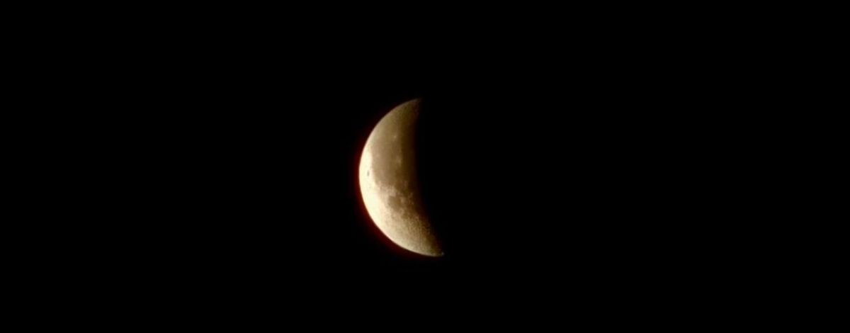DarkMoonLight