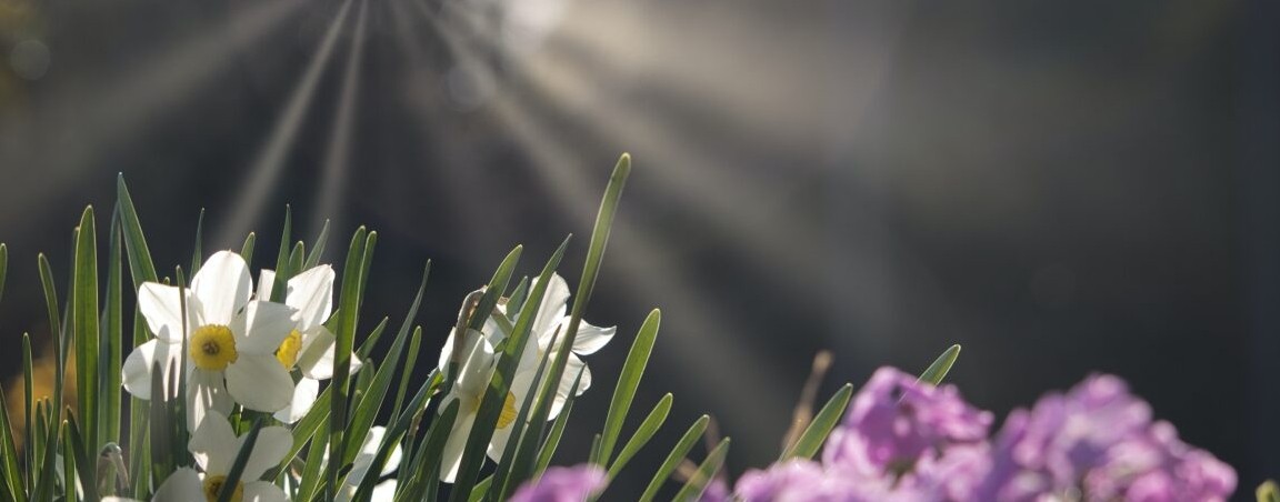 Просто Так ...💐