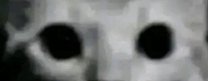Gfgirtop