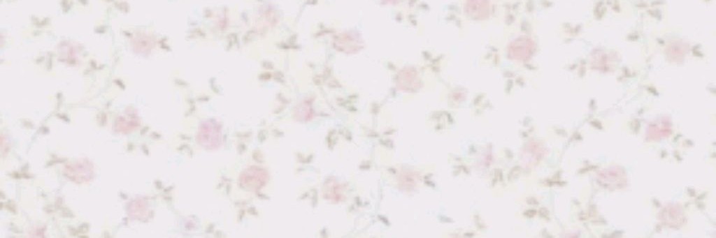 𝐸𝓋𝒶𝓃𝒾