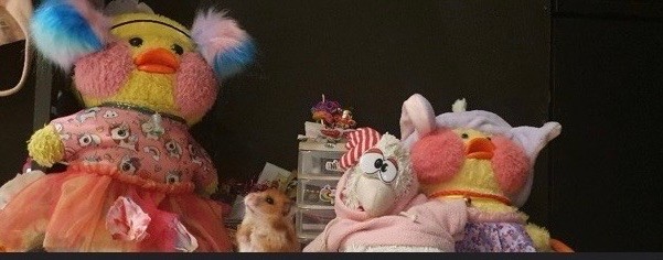 Алиса Пеструшка Утя Хома Милка Бусик