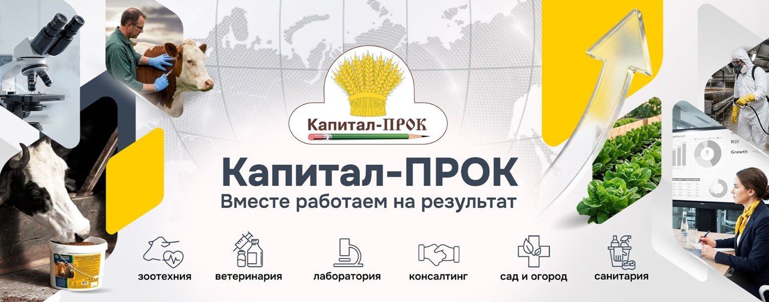 Капитал-ПРОК