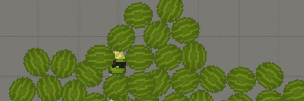 Party Melon