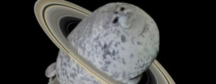 Krimminal_seal_morlom