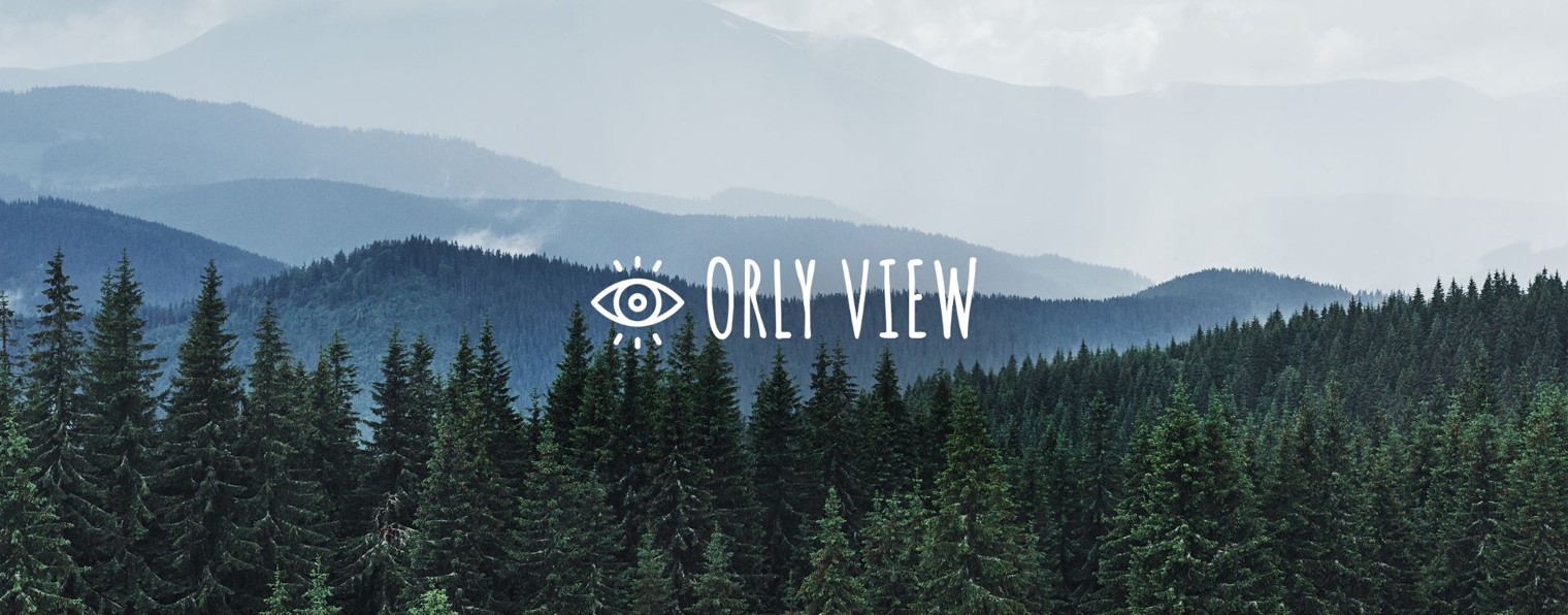 Orly view