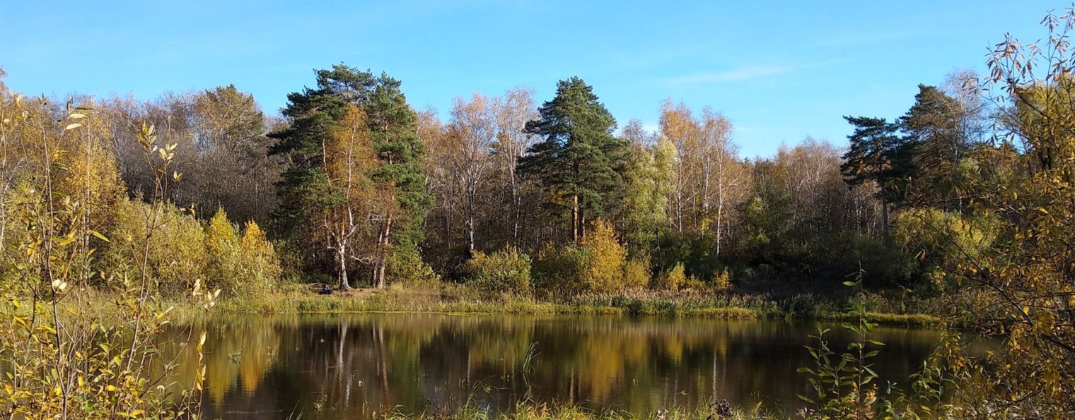 Музыка для души и не только