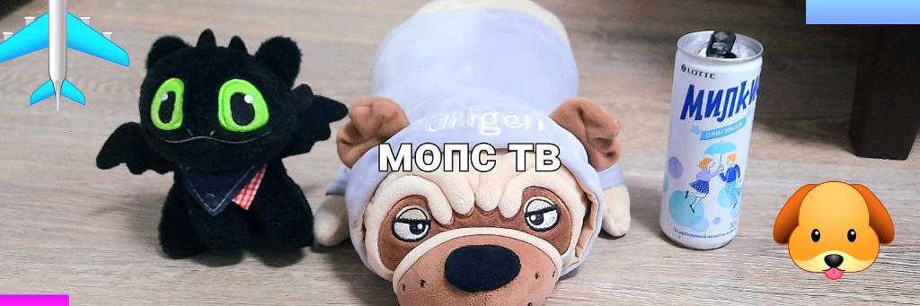 МОПС ТВ🐶