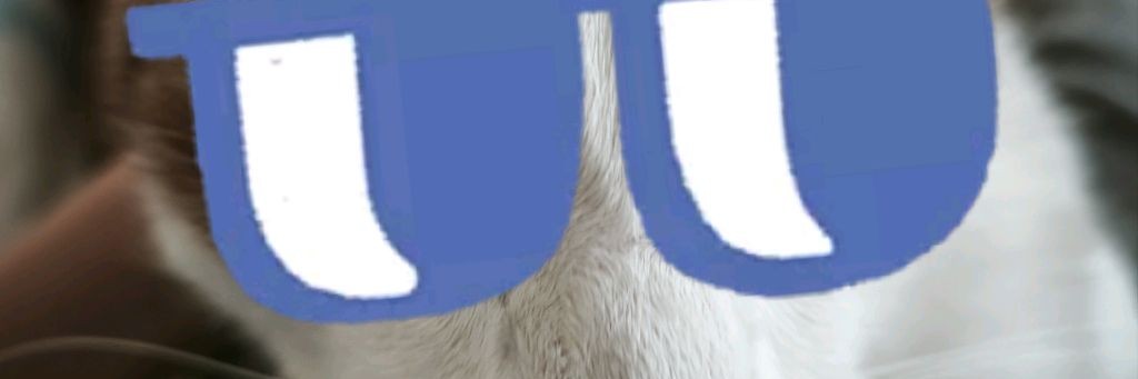 Sasha_EKB17