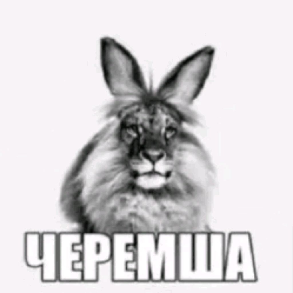 Dimon_55 Алмаз4