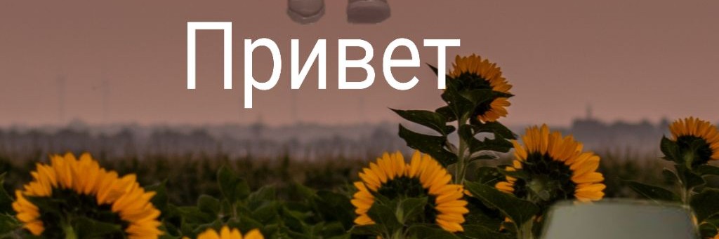 Красный Котик 4000 ZSD ✔️👋