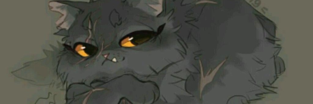 Merza_Cat