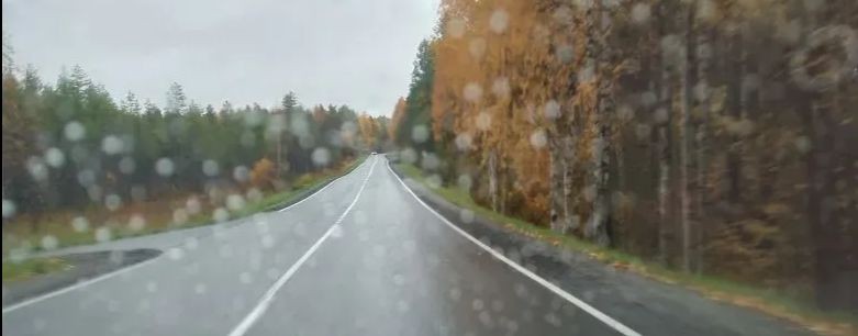 Дарьюшка Шишманова