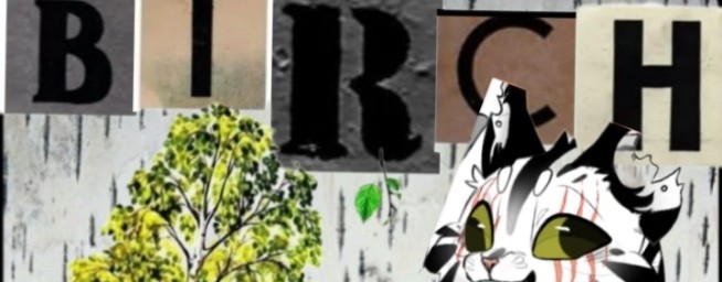 𝕓𝕚𝕣𝕔𝕙 𝕨𝕔
