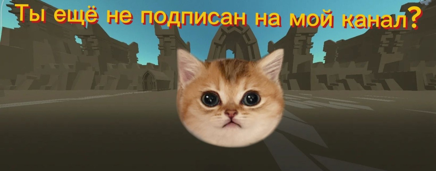 Паша24к