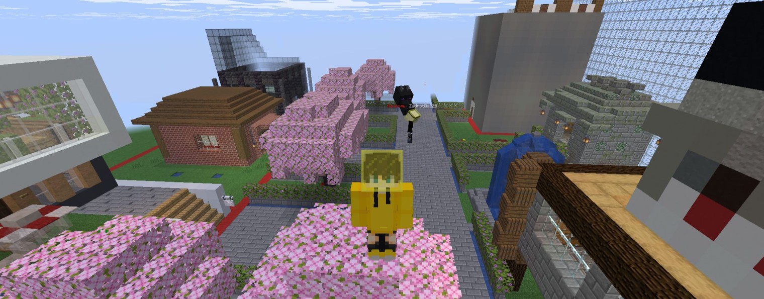 Lizynchik_Minecraft