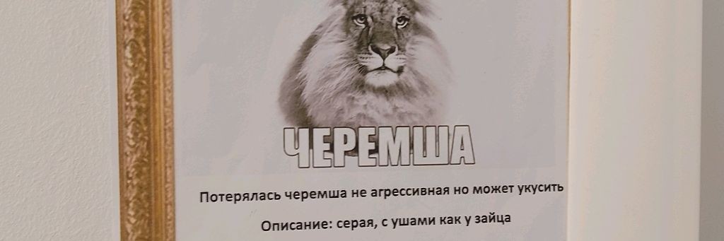 Ivan 456