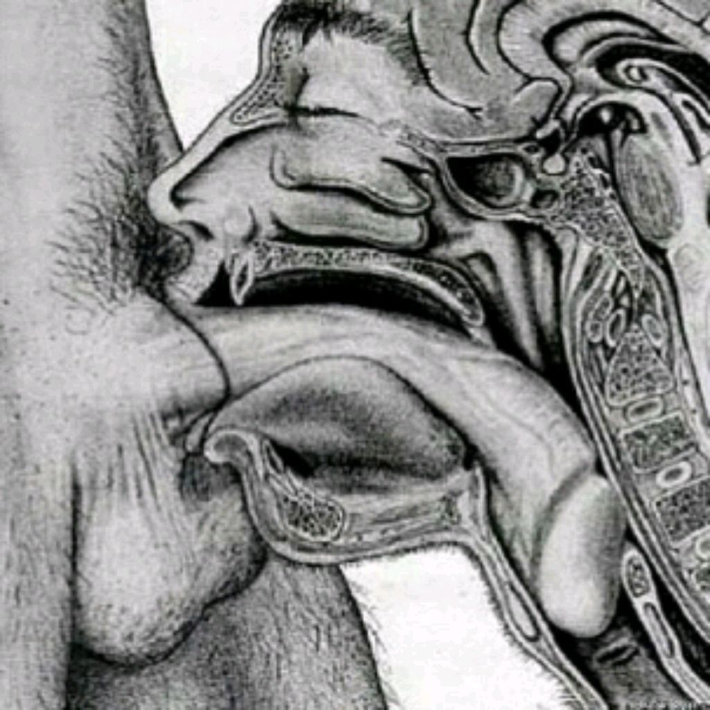 Hora