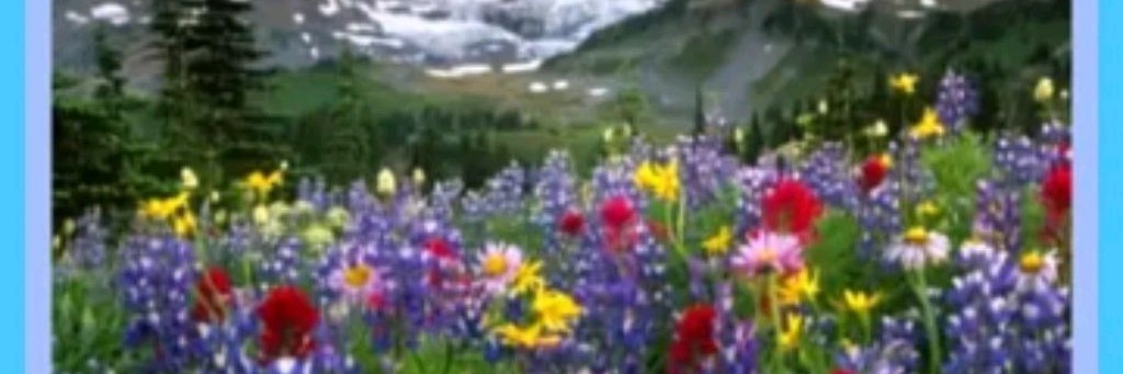 за Россию, за Победу🇷🇺