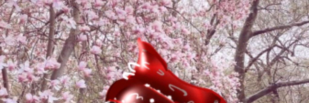 ୨ৎᙖᗣᙖᖿ ᙁᎽᕼᕼᗣ୨ৎ🪻