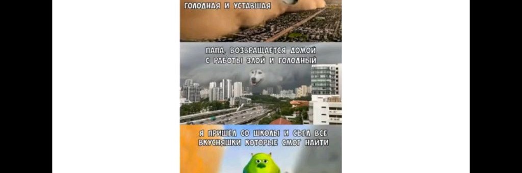 SargoTV