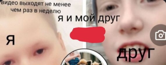три кабанчика