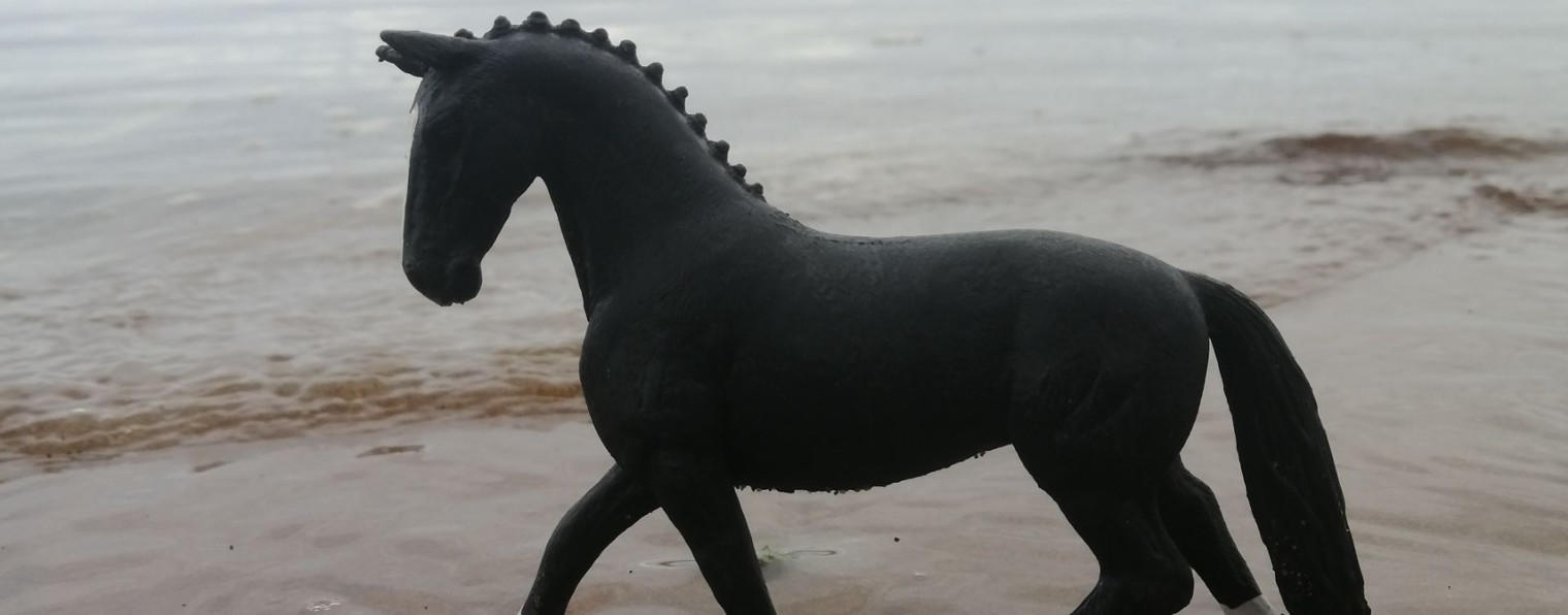 Equestrian/лошади шляйх /