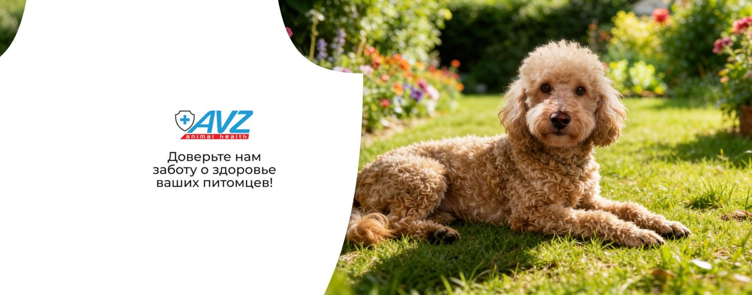 AVZ. Дайджест о здоровье животных