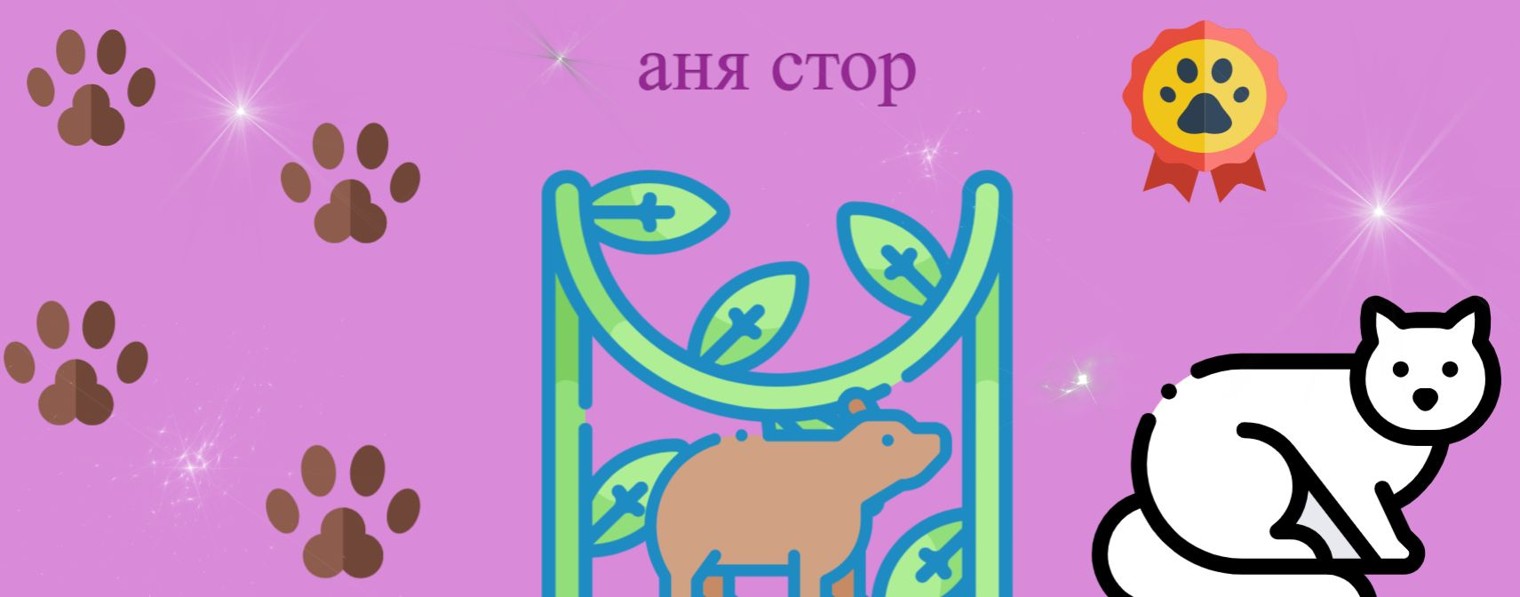 тока стор