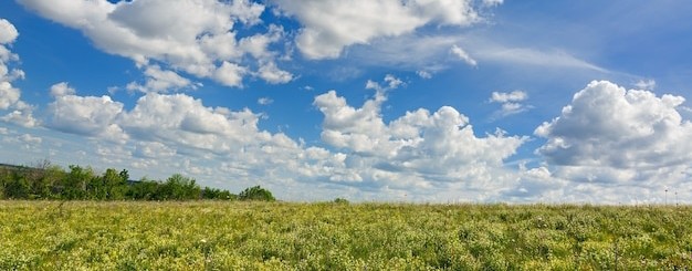 Наша сельская жизнь.