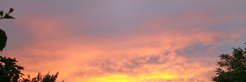 Тихие вечера с книгой