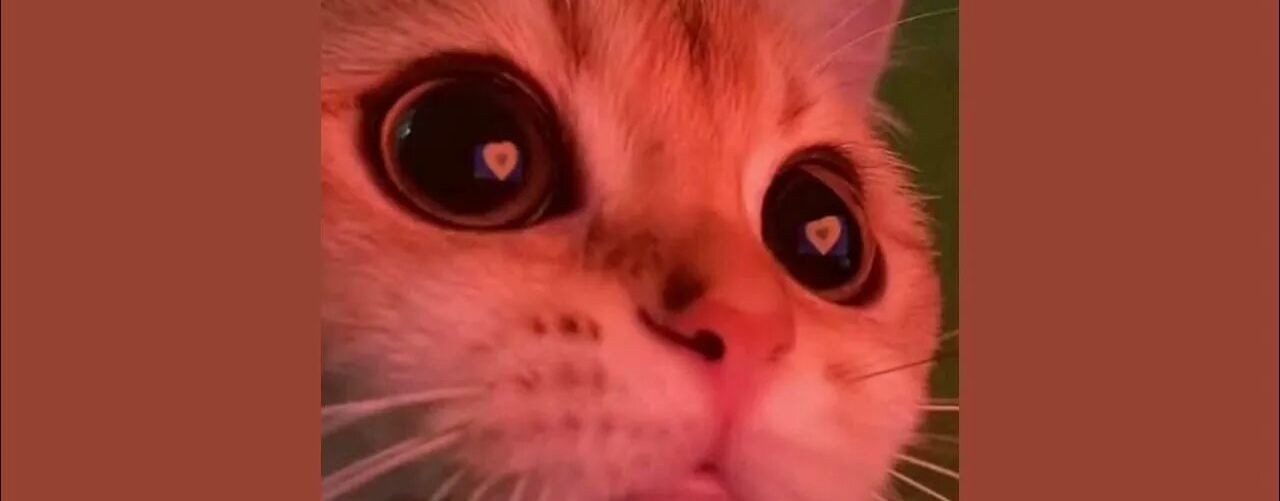 -#|neon_YuShKA|-