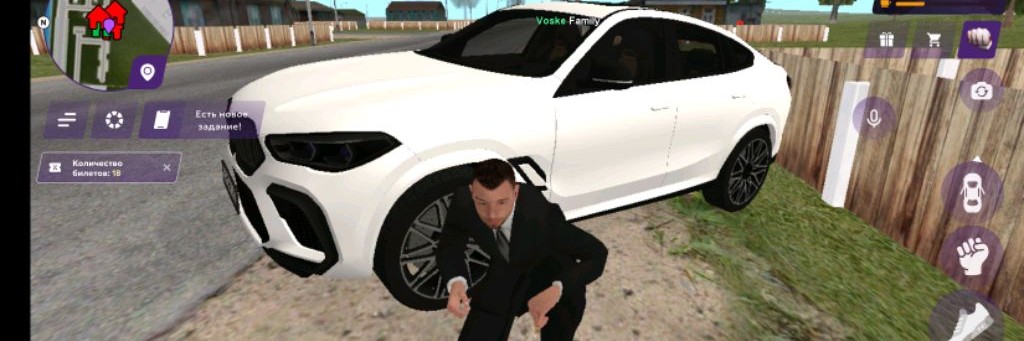 Профи RP