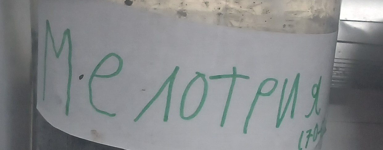 Melotria Obzor