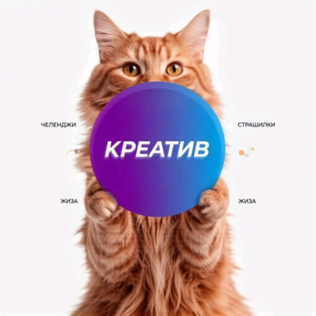 CREATIVKA / Креативка