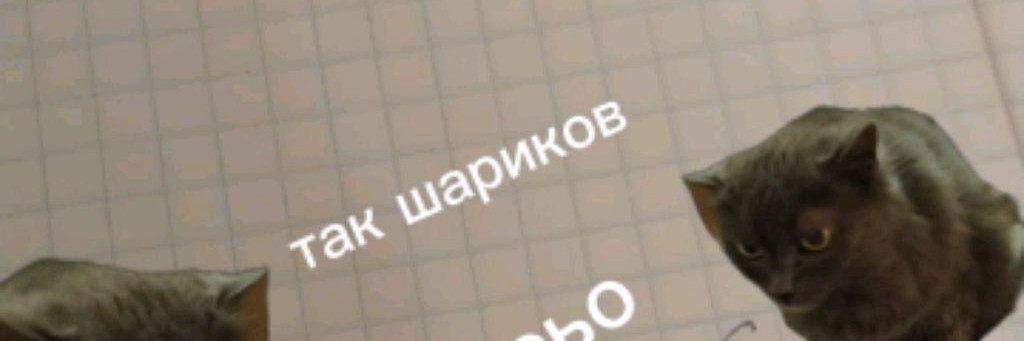 Митя Countryballs Уииа✔️