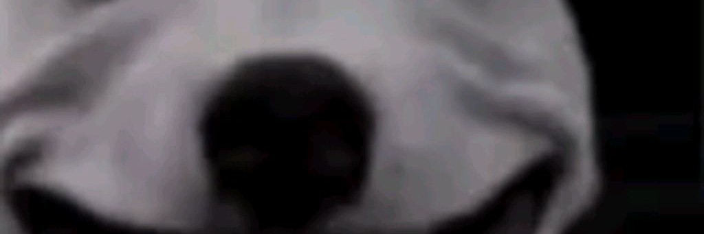 Demon_cat