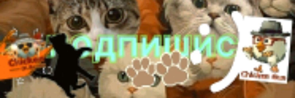 (😺Басилий38к:) и ваня38к:)😺)