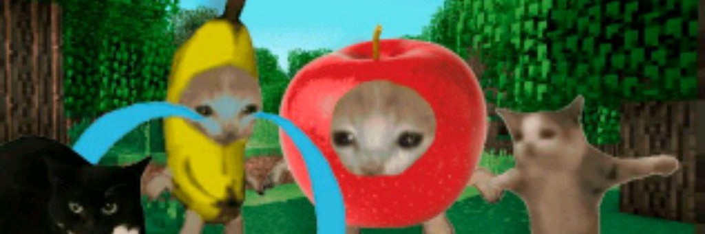 ꧁◥ᴱᵛᴵᴸ° ᴅʀᴀɢᴏɴ◤꧂