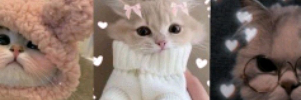 Милана Луквей