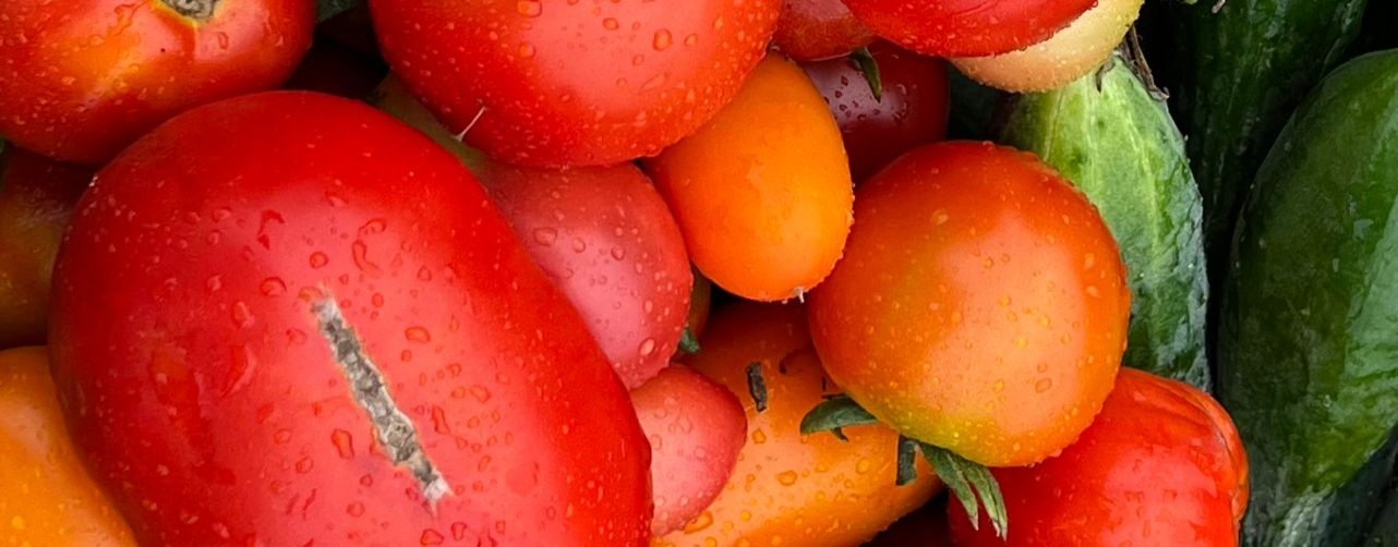 Семья Мастепановых. Дача.