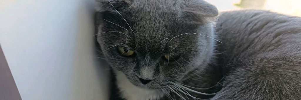 Даниил