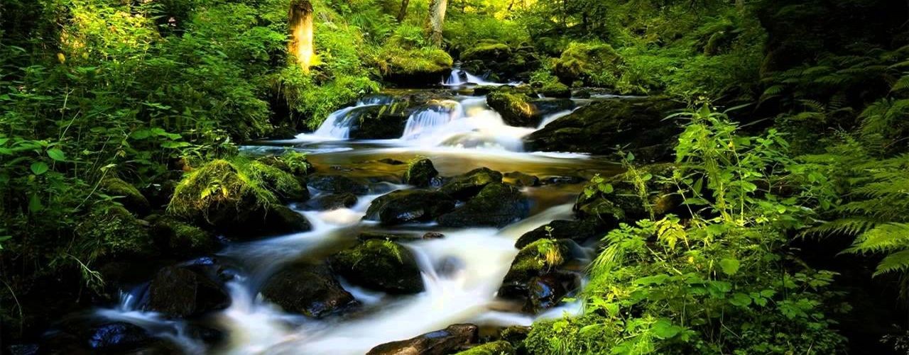Музыка для сна и отдыха | Relax Music