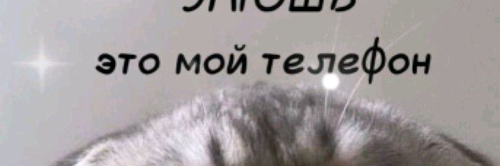 Дарюшикс💗💗💗