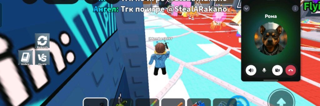 PMN ROBLOX