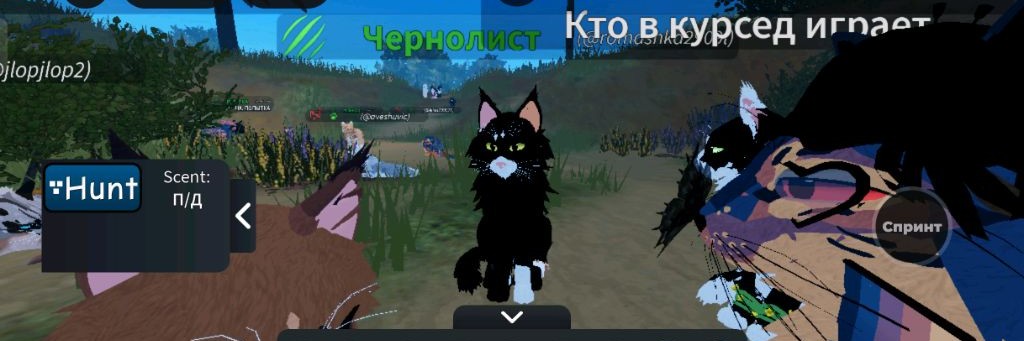Чернолист~|